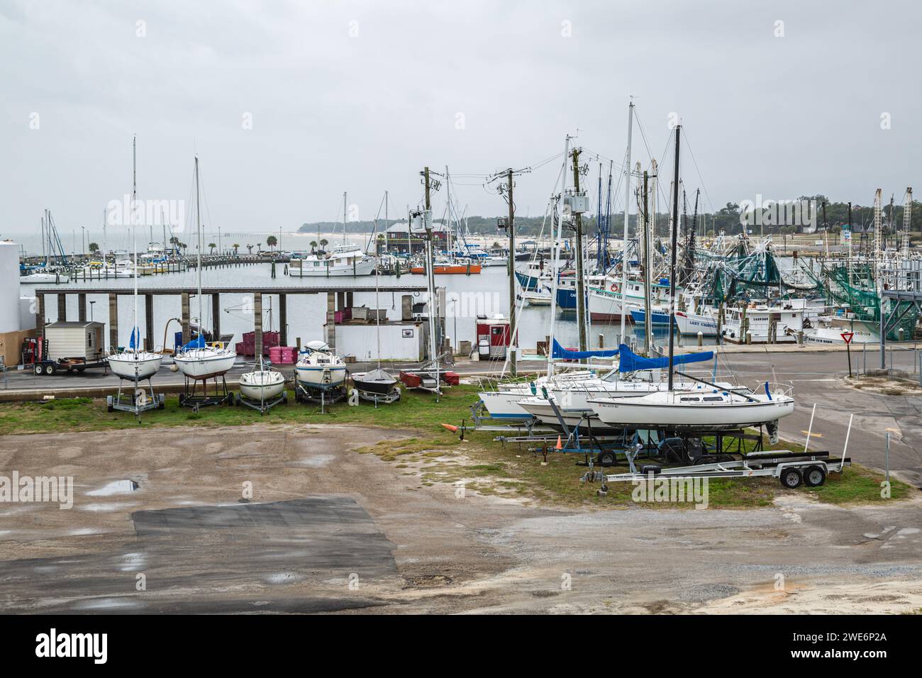 Commerial shrimp and fishing boats docked in the harbor behind ...