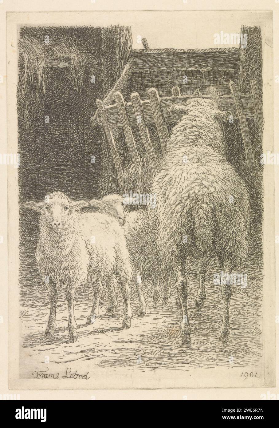 Sheep and two lambs in a stable, Frans LeBret, 1901 print Two lambs and ...