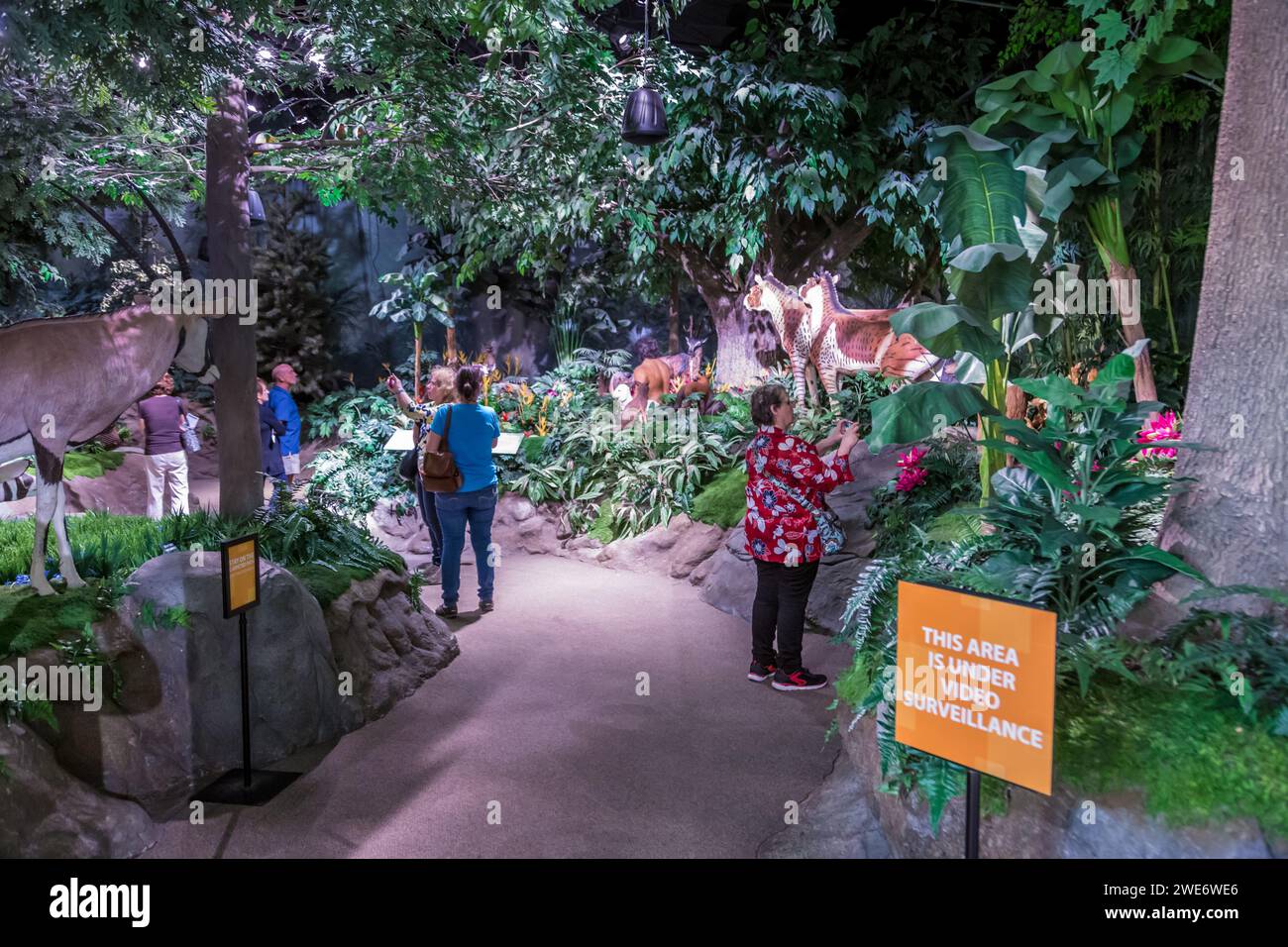Display inside The Creation Museum in Petersburg, Kentucky Stock Photo ...