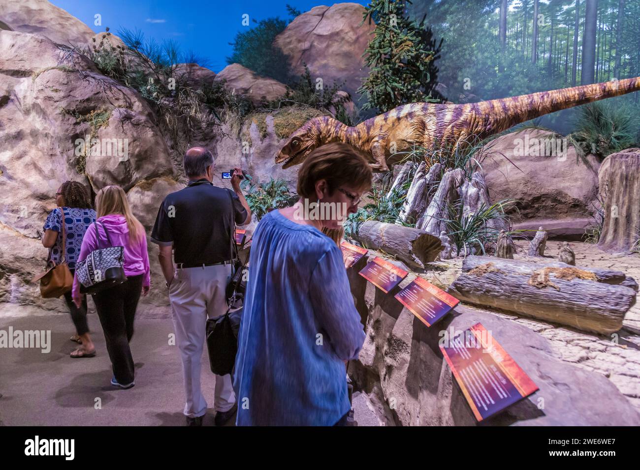 Display inside The Creation Museum in Petersburg, Kentucky Stock Photo ...