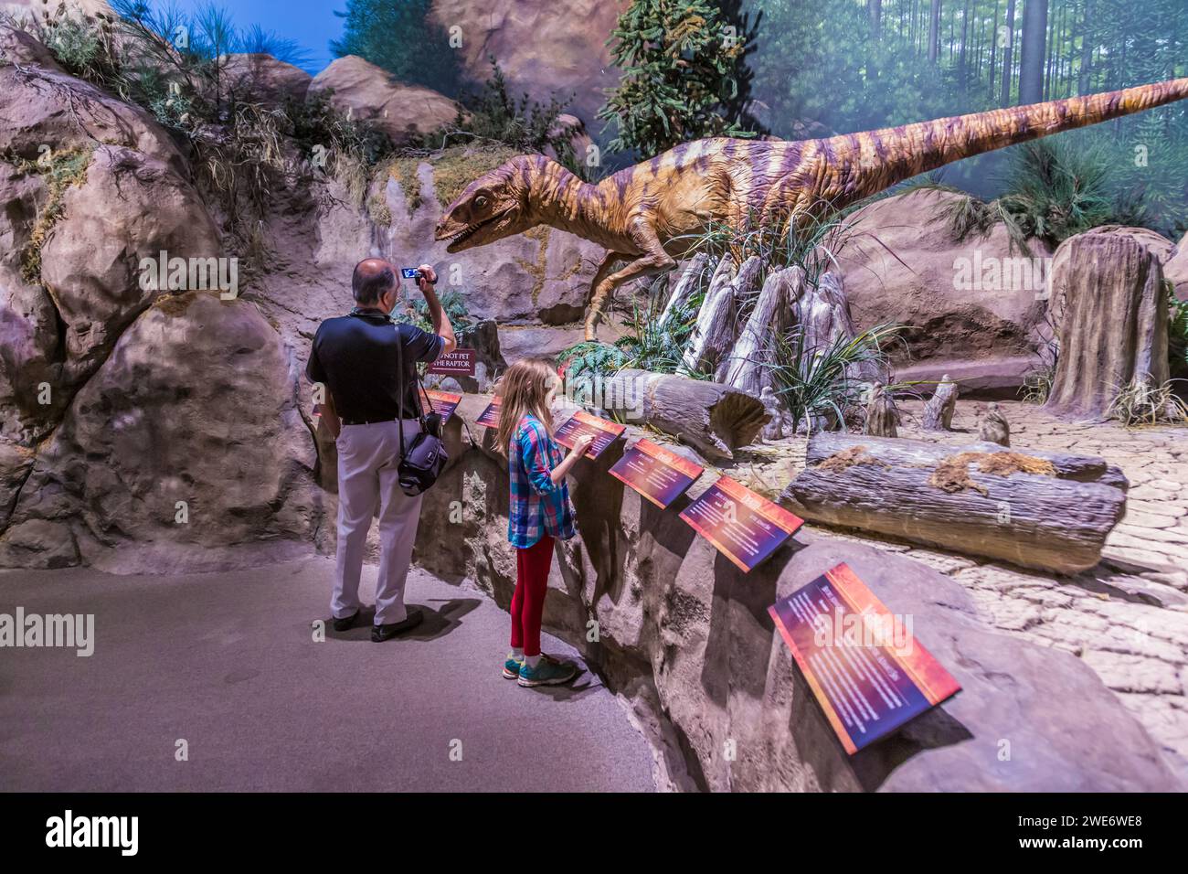 Display inside The Creation Museum in Petersburg, Kentucky Stock Photo ...