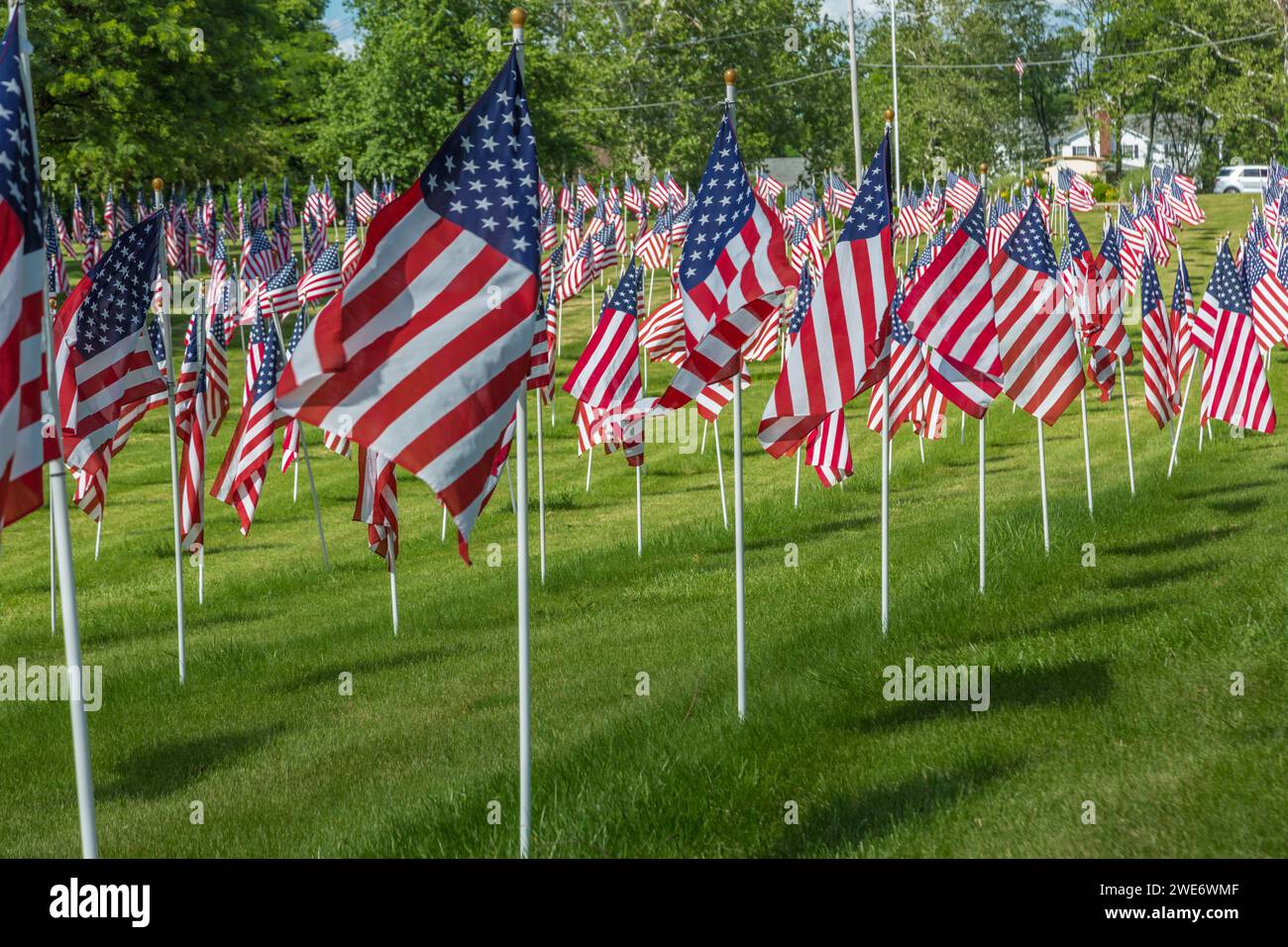 Rows of United States flags on a green grass lawn in Indianapolis ...