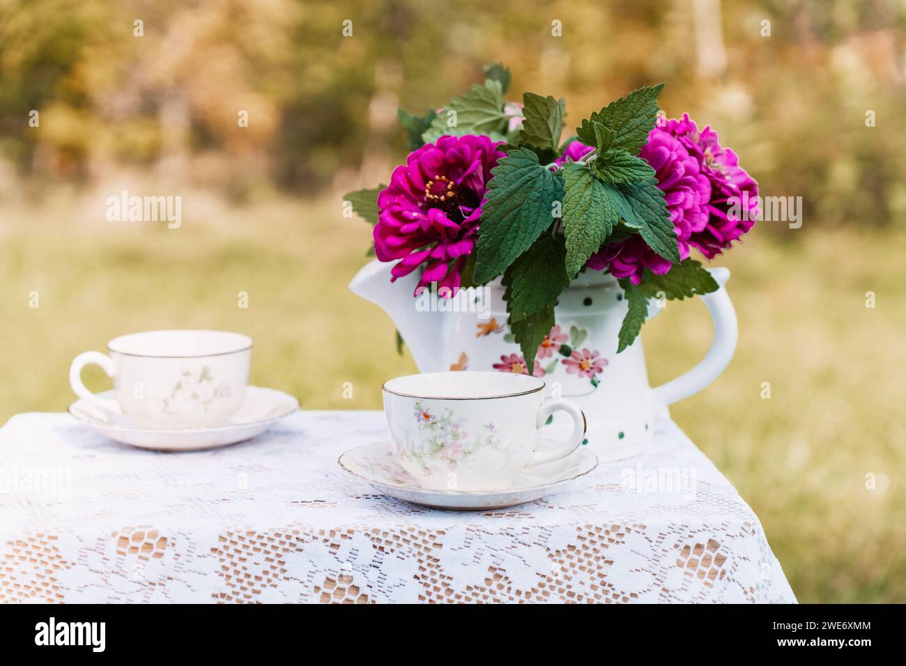 Outdoor tea party Stock Photo - Alamy