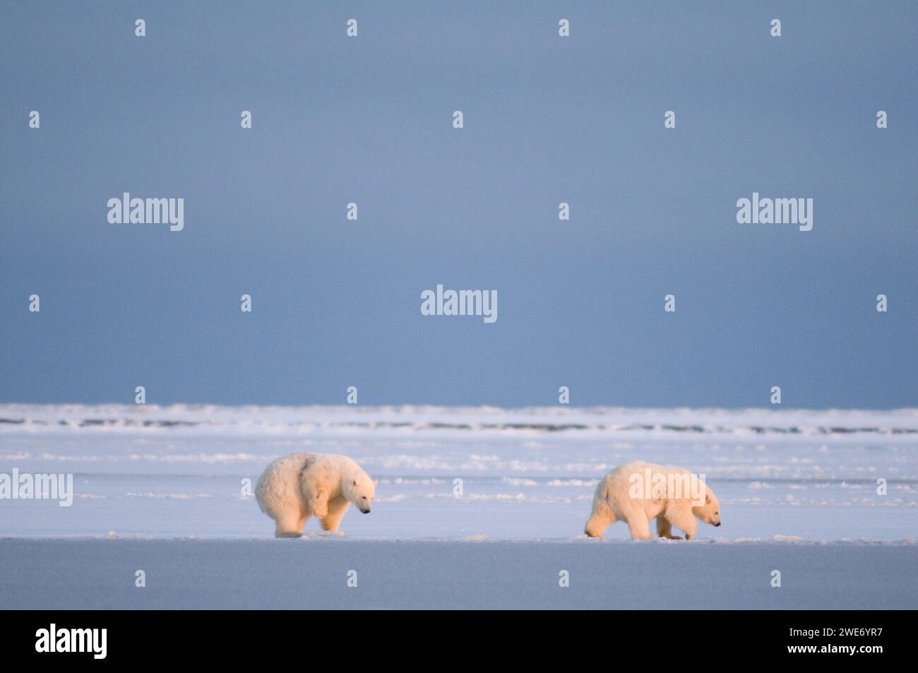 Beaufort sea close up on hi-res stock photography and images - Alamy