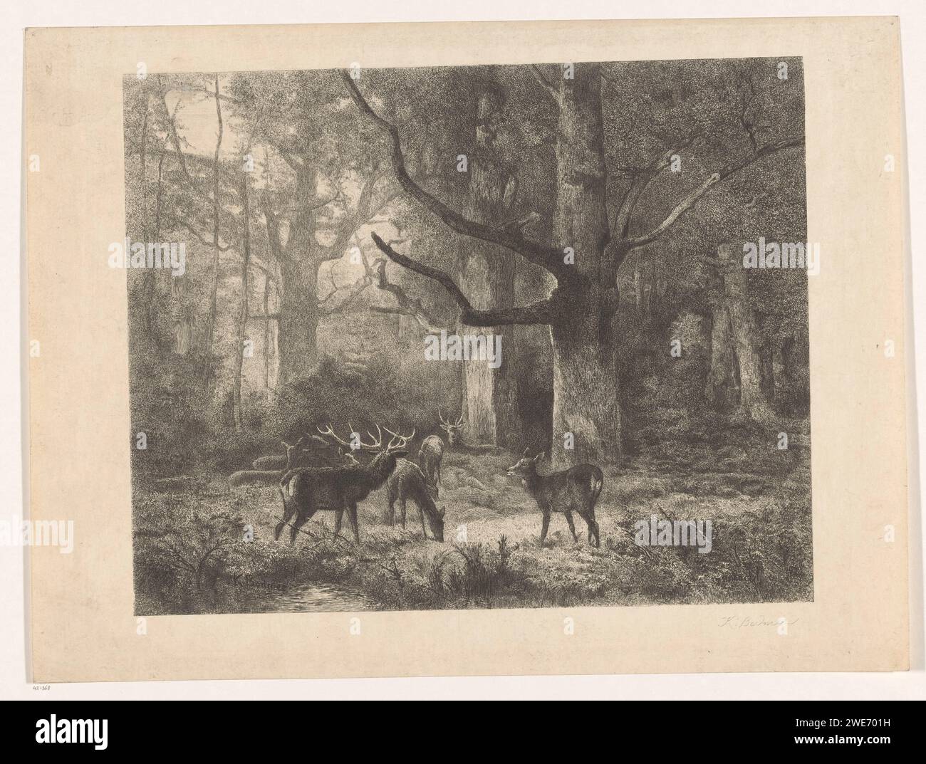 Deer in a forest, Karl Bodmer, 1822 - 1893 print France paper etching ...