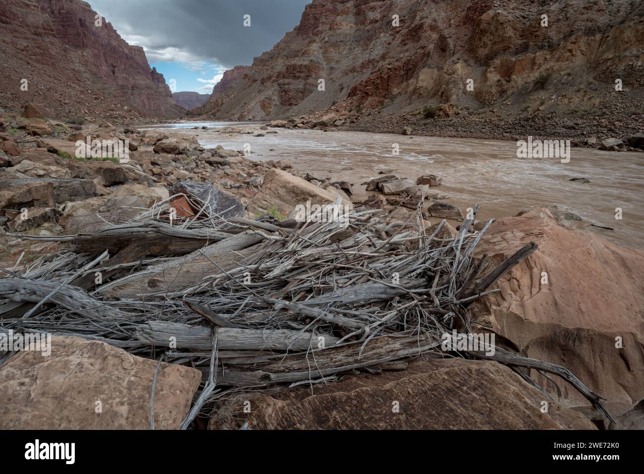Driftwood at Big Drop #3 (aka Satan's Gut) on the Colorado River ...
