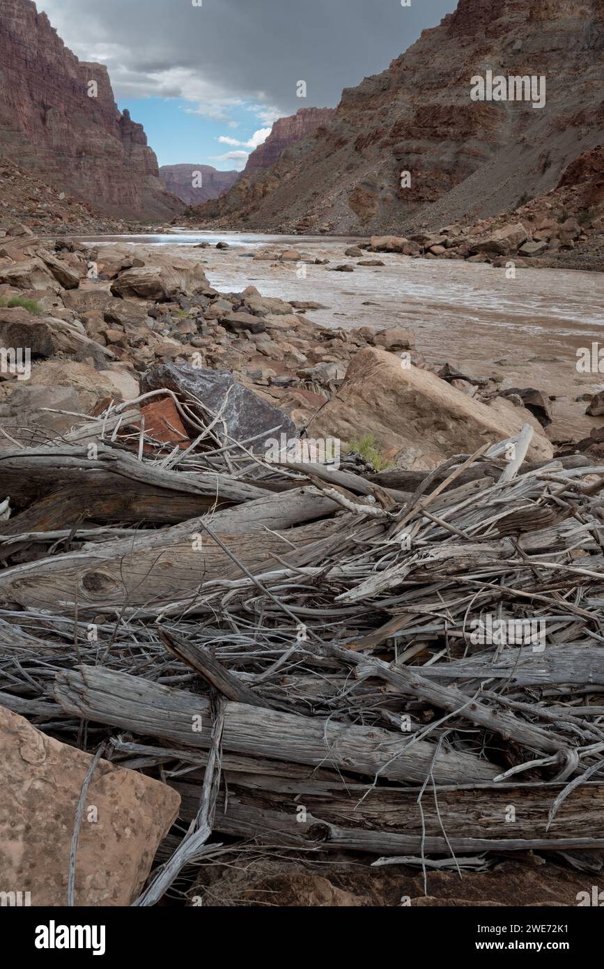 Driftwood at Big Drop #3 (aka Satan's Gut) on the Colorado River ...