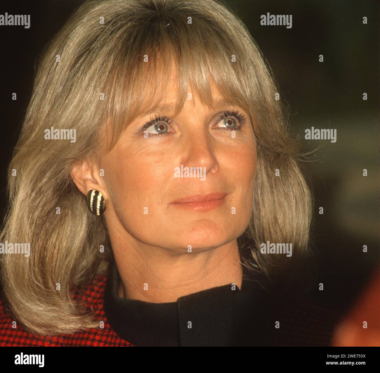 Linda evans actress hi-res stock photography and images - Alamy