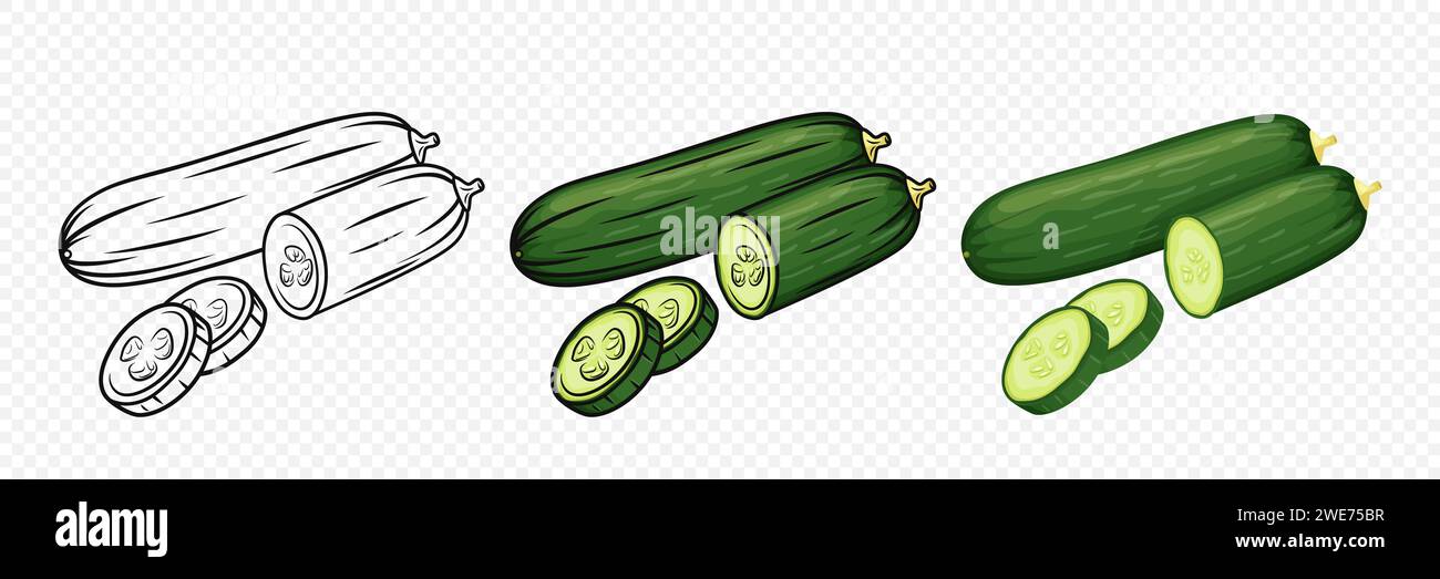 Flat Vector Green Fresh Whole and Sliced Cucumber Set. Design Template ...