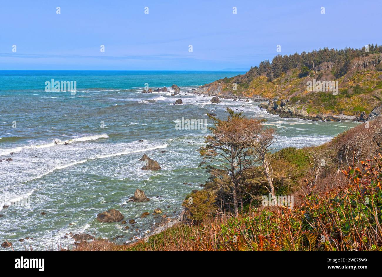 Patrick’s point state park hi-res stock photography and images - Alamy