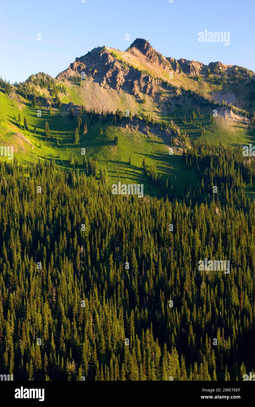 Sourdough Mountains from Sunrise Point, Mt Rainier National Park ...