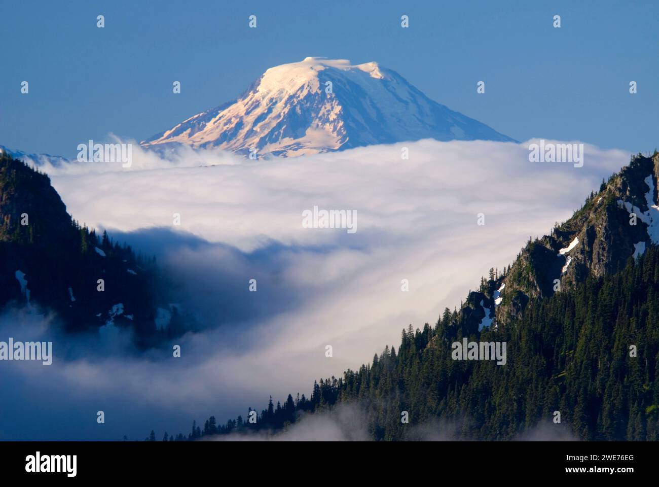 Mt Adams from Sunrise Point, Mt Rainier National Park, Washington Stock ...