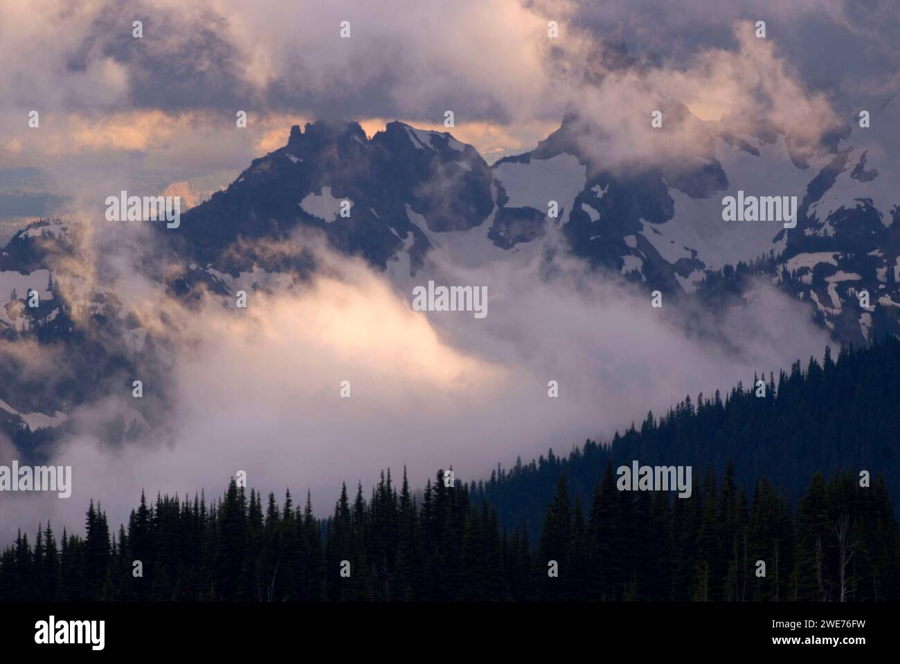 White River valley from Sunrise Point, Mt Rainier National Park ...