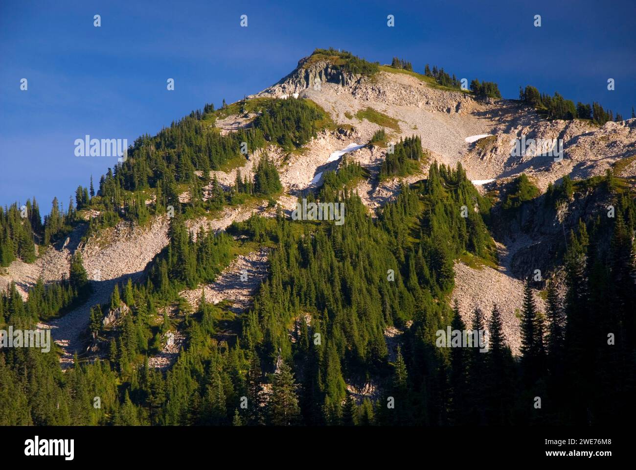Tatoosh ridge hi-res stock photography and images - Alamy