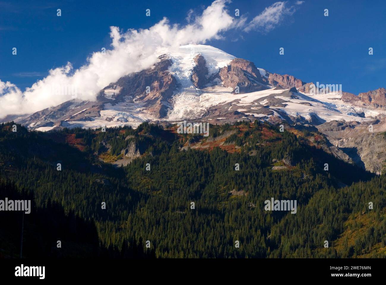 Mt Rainier from Stevens Canyon, Mt Rainier National Park, Washington ...