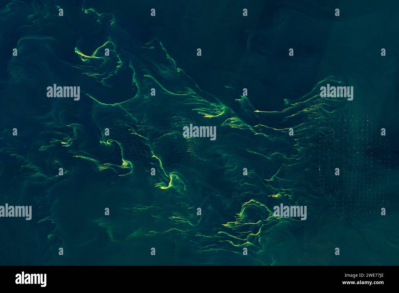 Phytoplankton bloom, satellite image Stock Photo - Alamy