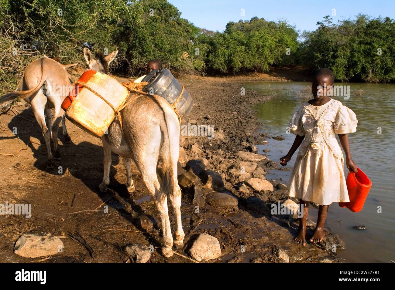 Children collecting water from river Stock Photo - Alamy