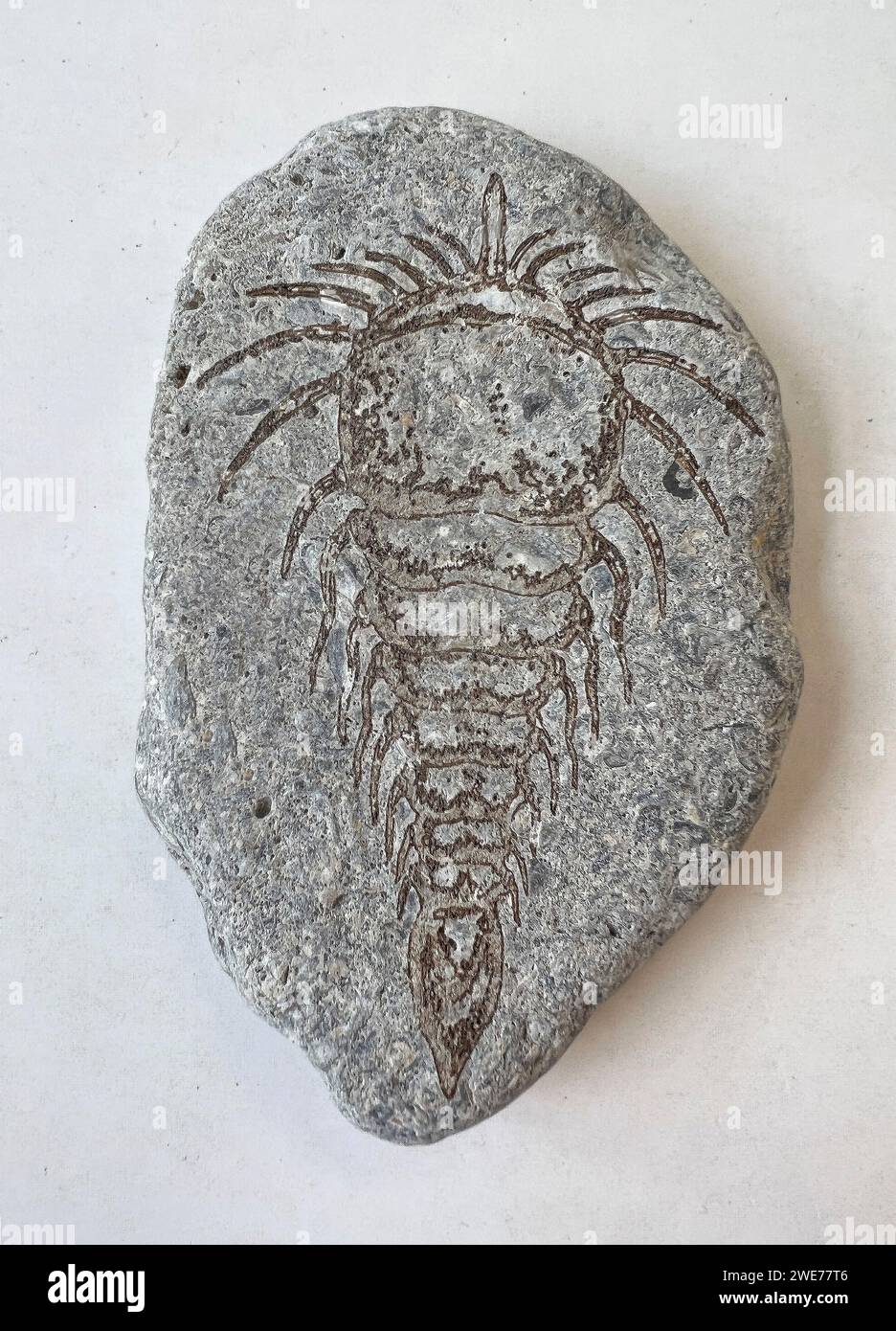 Alien fossil in stone, conceptual illustration Stock Photo - Alamy