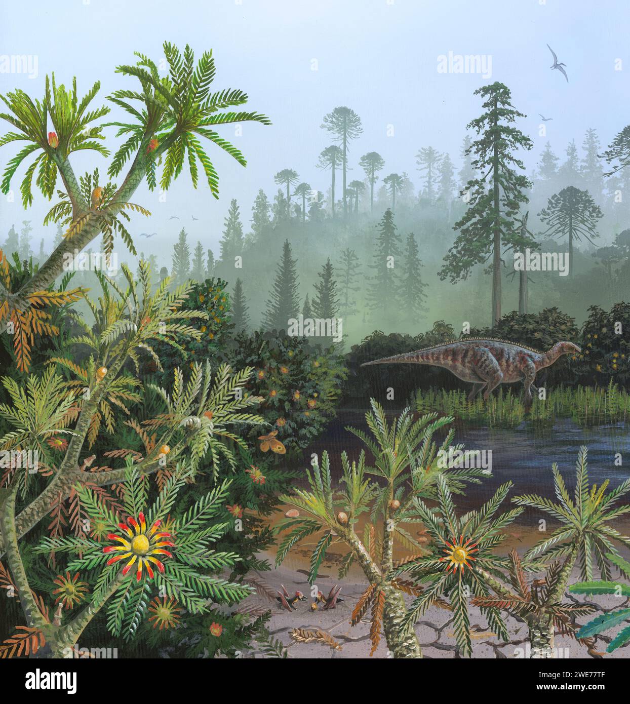 Cretaceous plants, illustration Stock Photo - Alamy