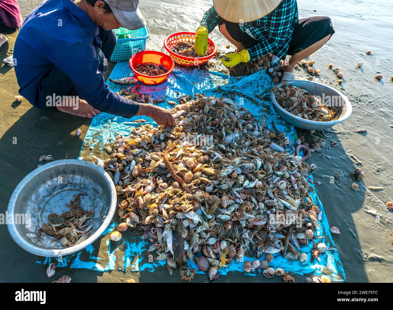 Fish market session seas scene people gathered inside basket fish sale ...