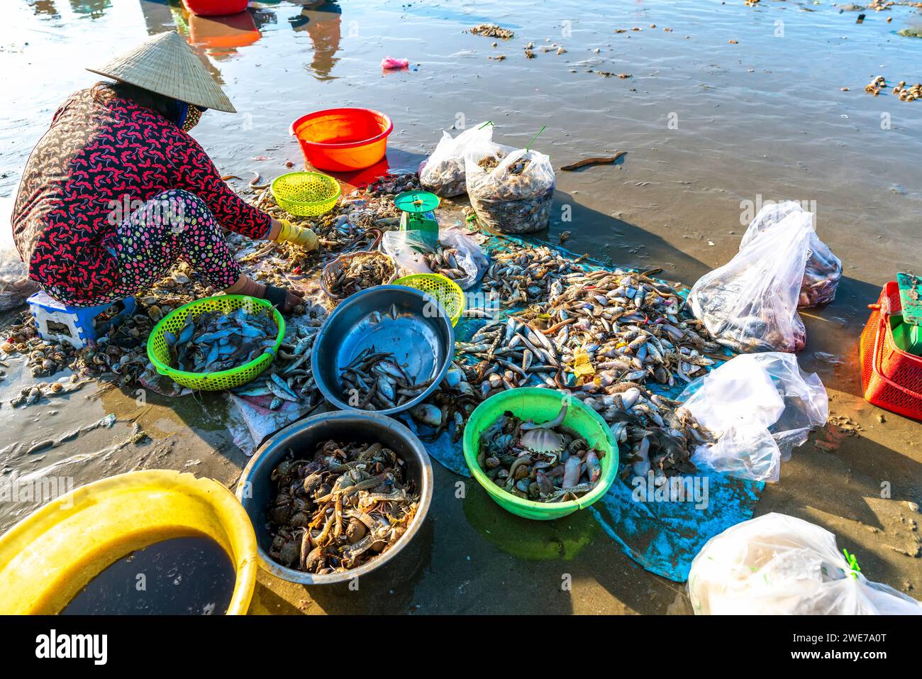 Fish market session seas scene people gathered inside basket fish sale ...