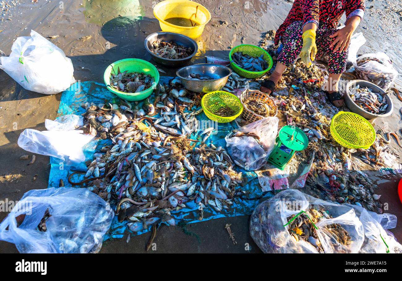 Fish market session seas scene people gathered inside basket fish sale ...