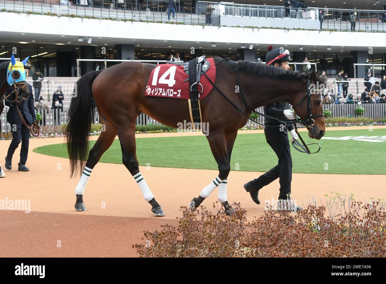 Kyoto, Japan. 21st Jan, 2024. 2024/01/21 KYOTO 11R THE TOKAI TV HAI ...