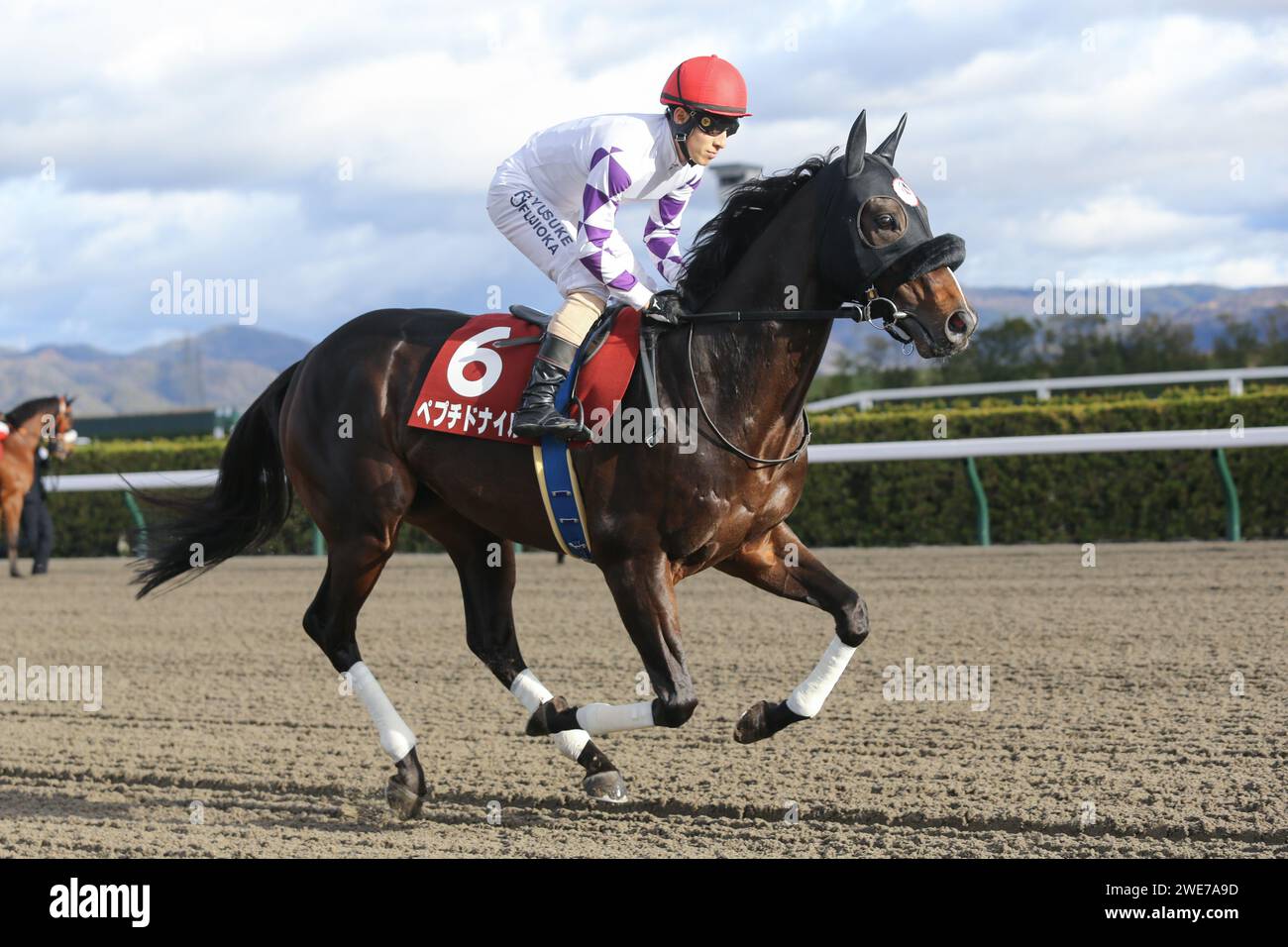 Kyoto, Japan. 21st Jan, 2024. 2024/01/21 KYOTO 11R THE TOKAI TV HAI ...