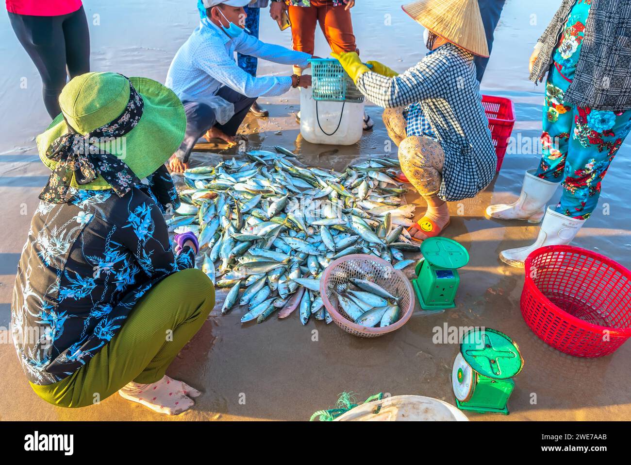 Fish market session seas scene people gathered inside basket fish sale ...