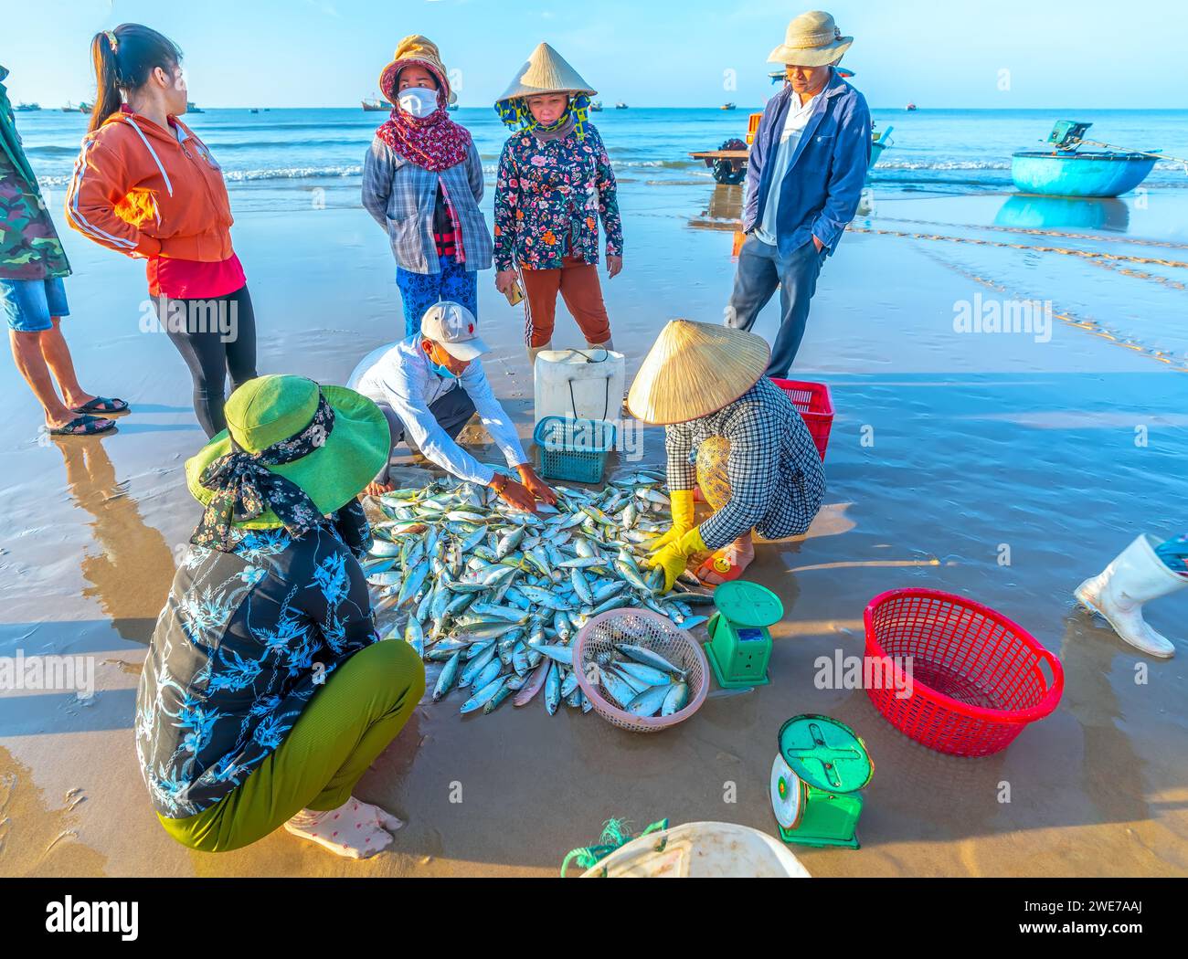 Fish market session seas scene people gathered inside basket fish sale ...