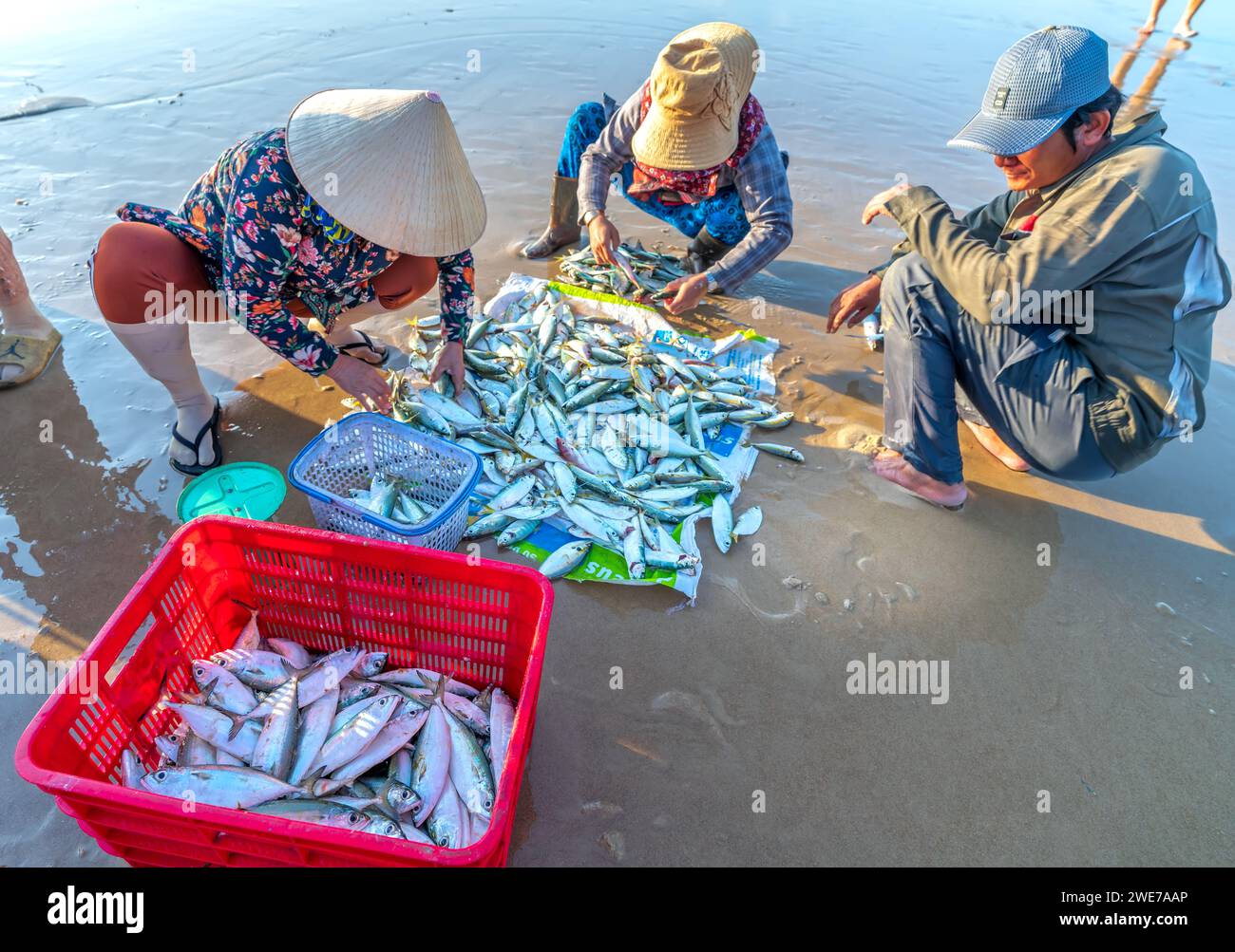 Fish market session seas scene people gathered inside basket fish sale ...
