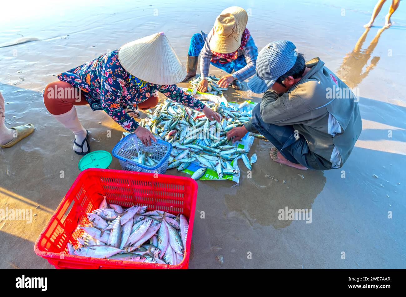 Fish market session seas scene people gathered inside basket fish sale ...