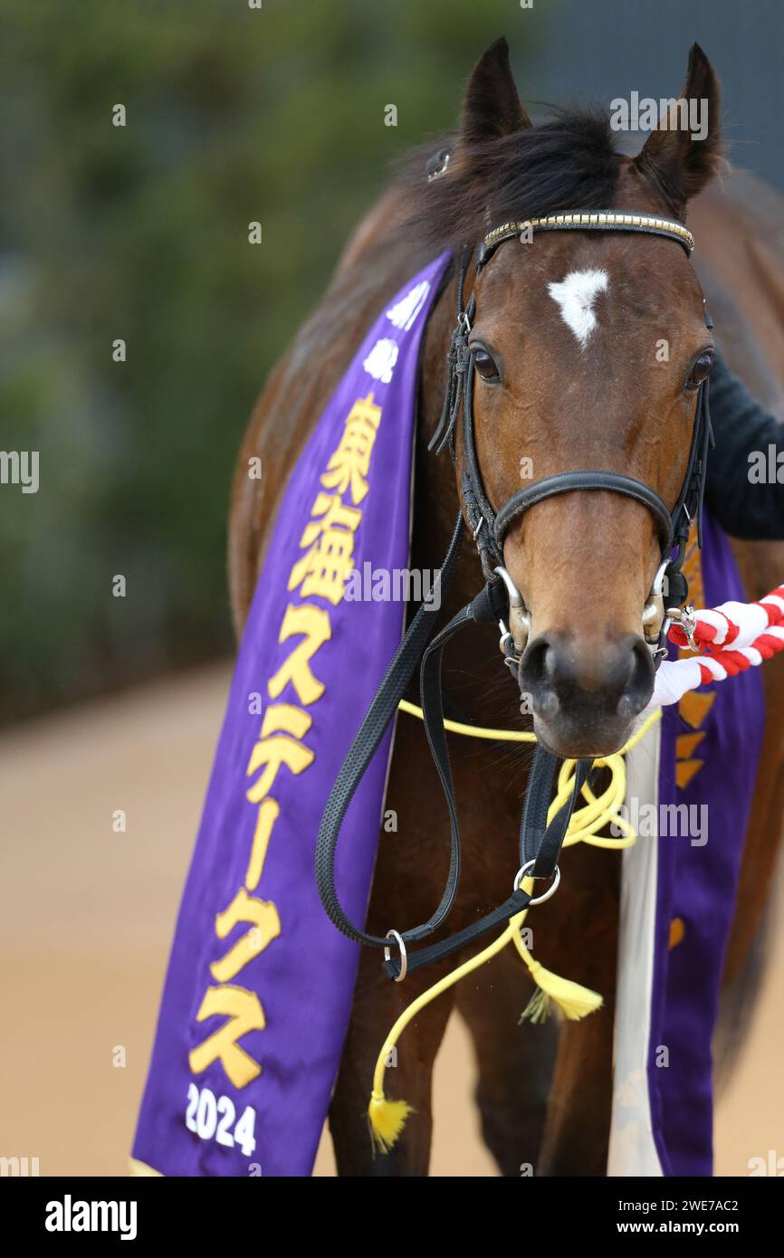 Tokai tv hi-res stock photography and images - Alamy