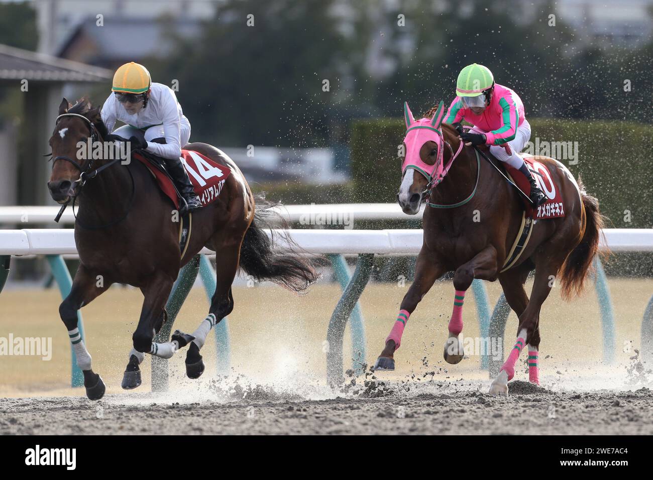 Keita sakai hi-res stock photography and images - Alamy