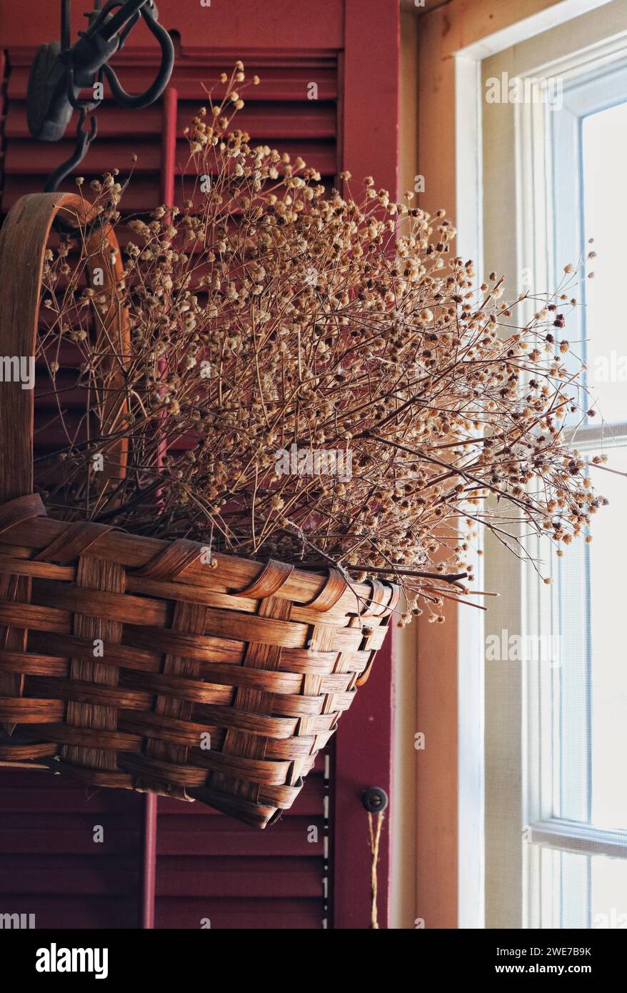 Dried flowers hanging in a wooden basket near a window Stock Photo - Alamy