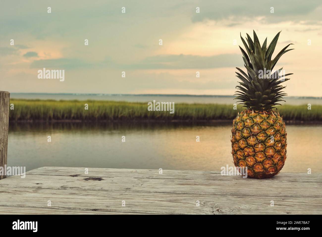 Pineapple on a dock hi-res stock photography and images - Alamy