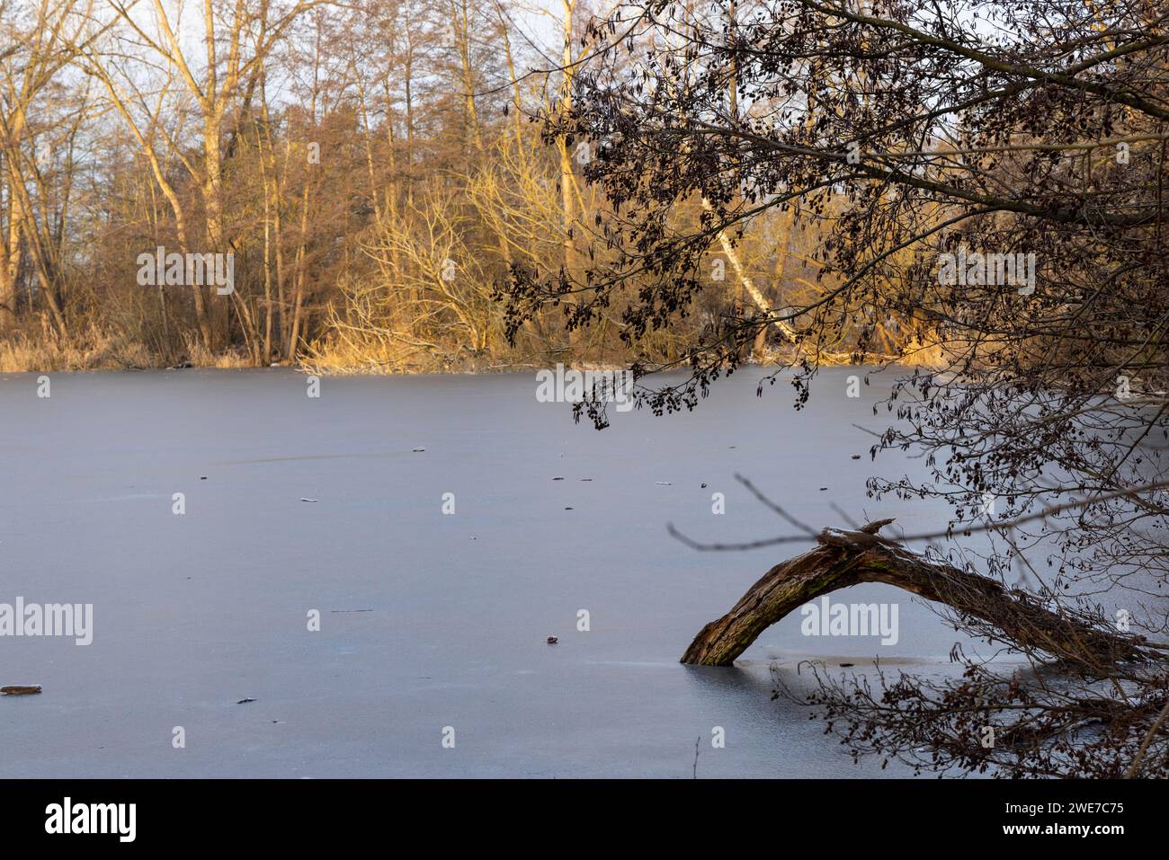 Freeze nature hi-res stock photography and images - Alamy