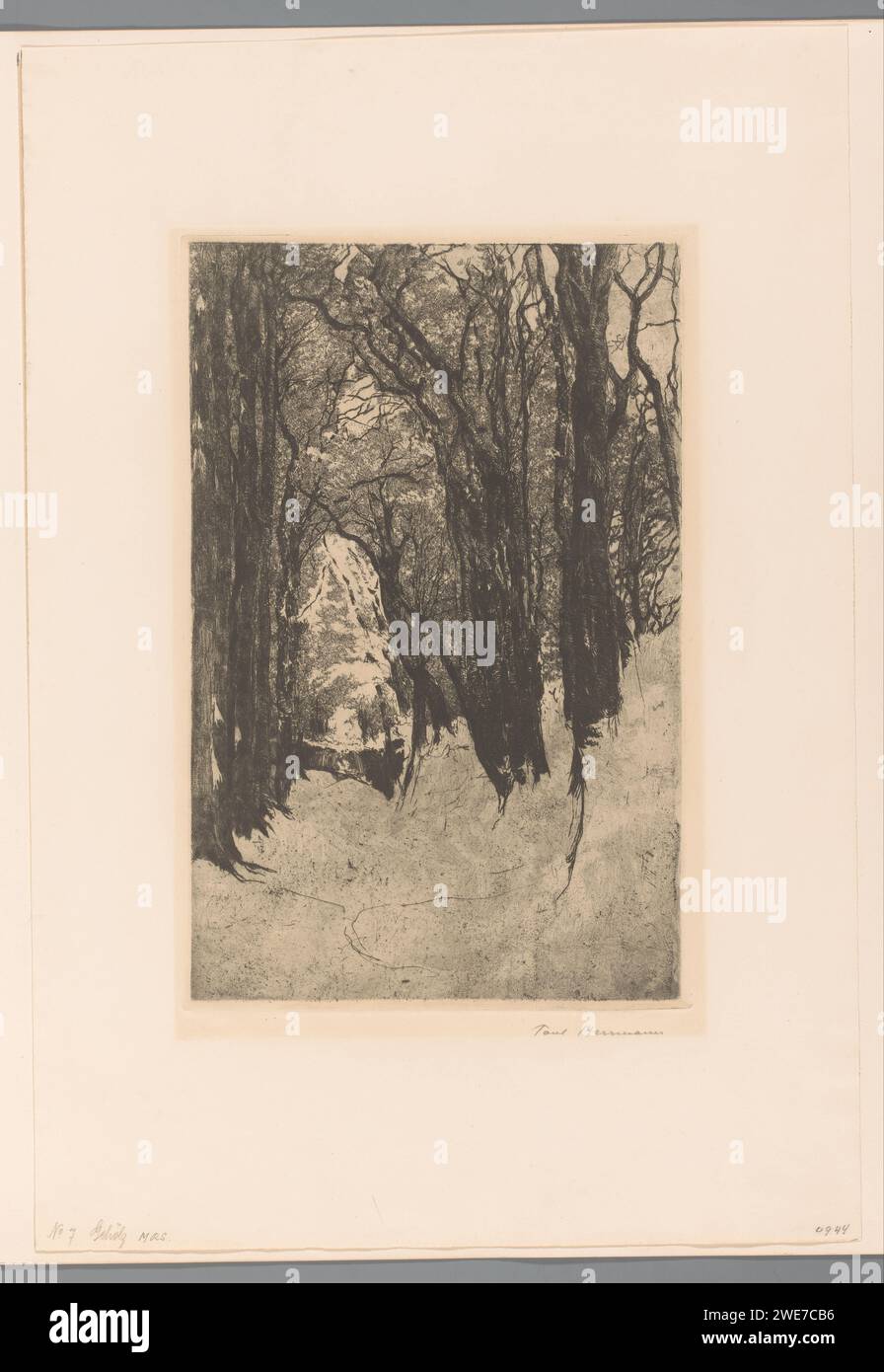 BosPad, Paul Herrmann, 1874 - 1944 print paper etching / drypoint ...