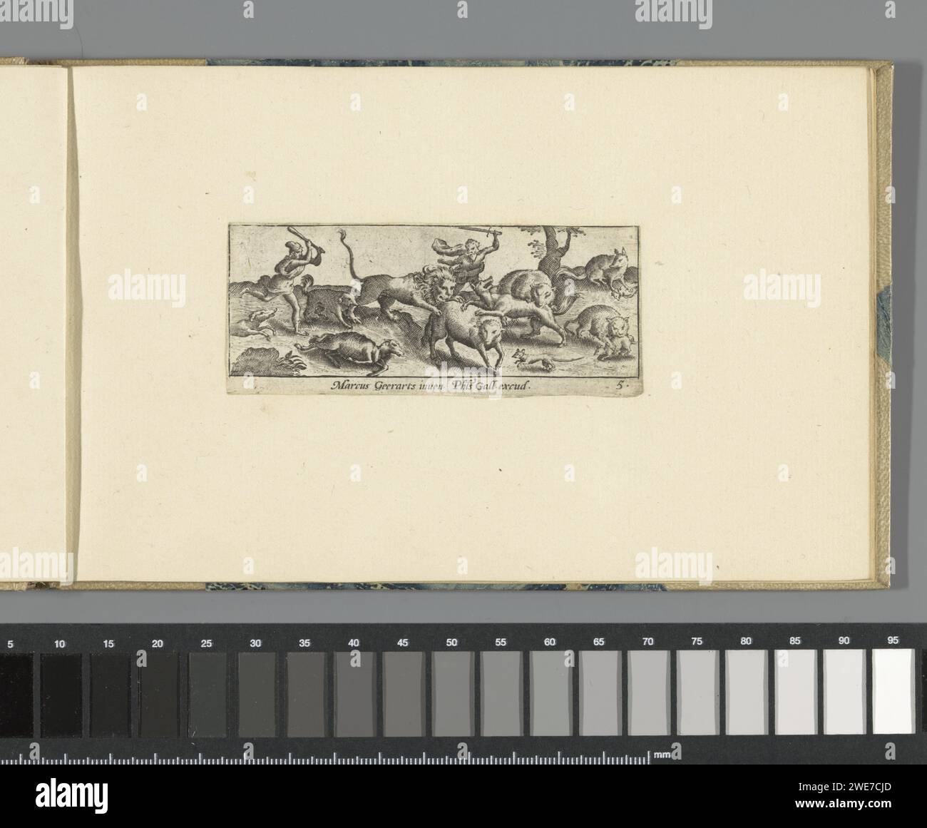 Wolf hunting sheep hi-res stock photography and images - Alamy