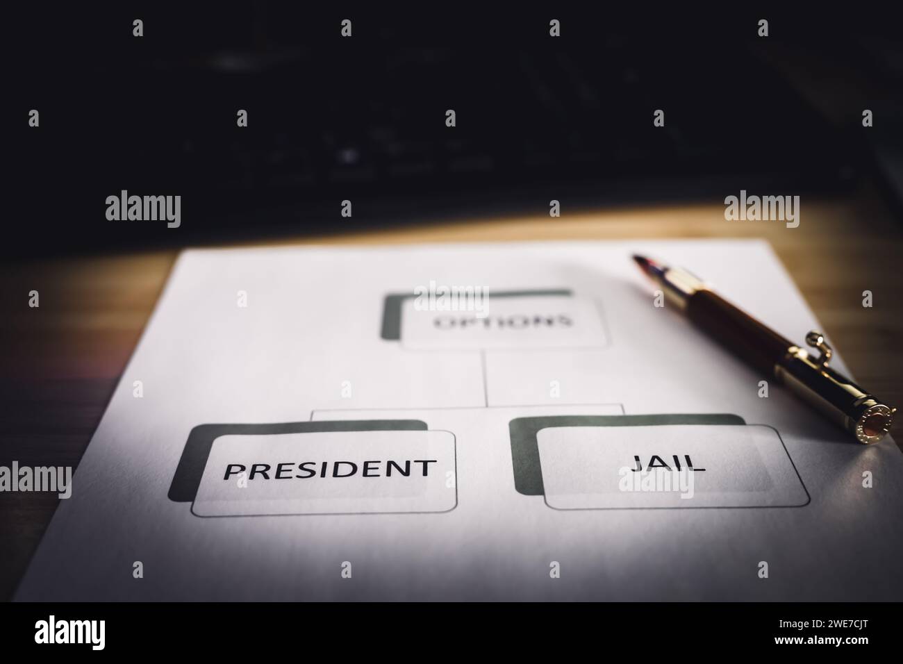 Flow chart for political options to be either elected president or go ...