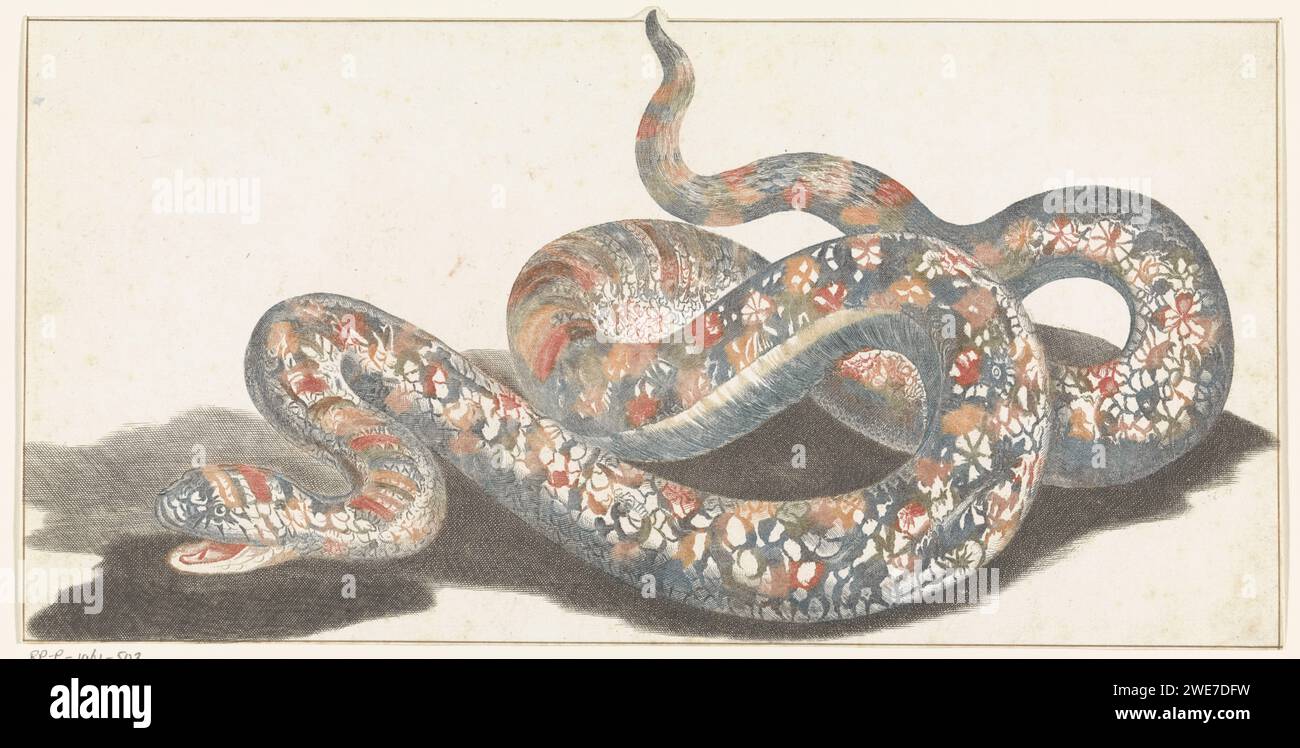 Slang, anonymous, 1688 - 1698 print Changed snake with open mouth ...