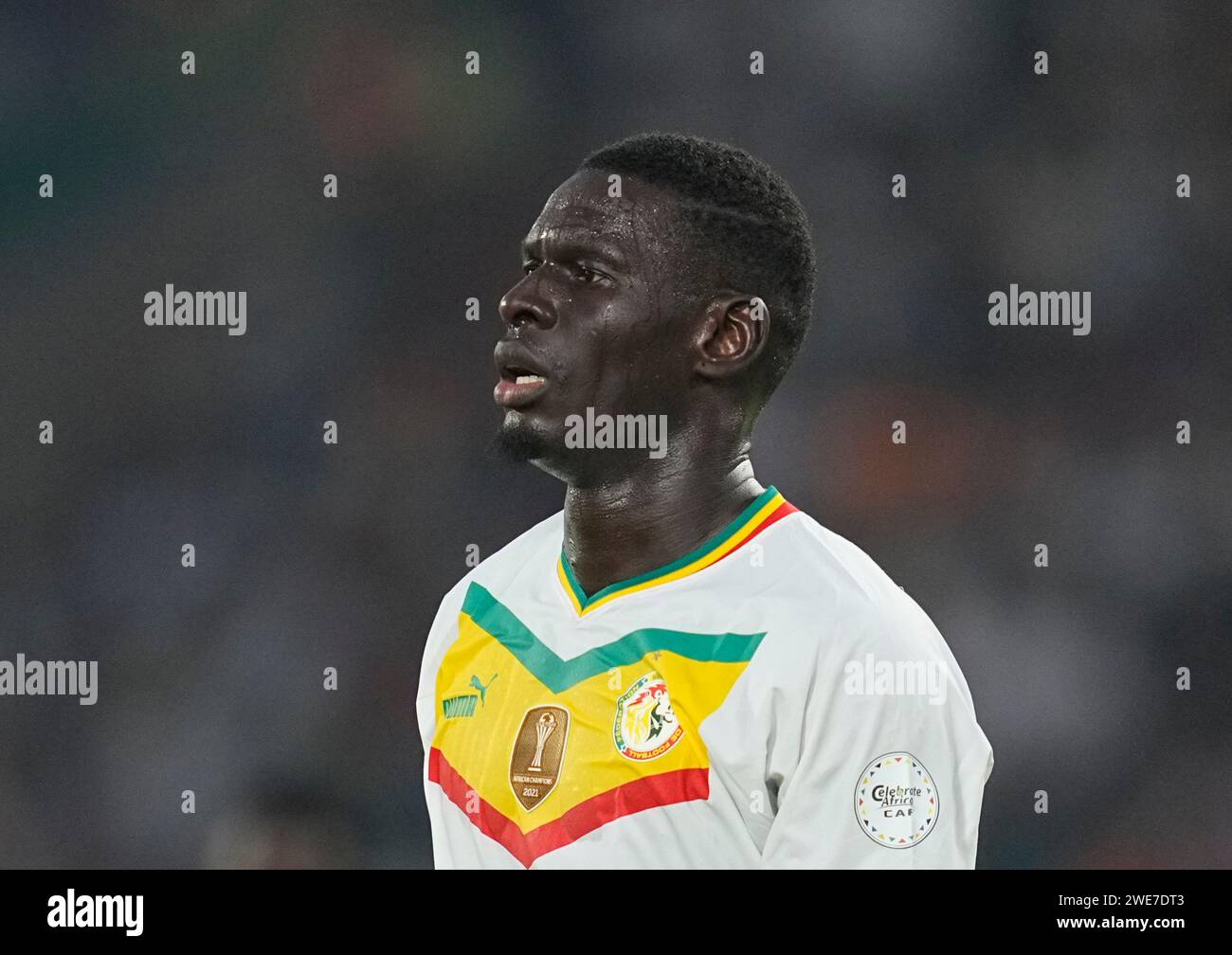 Stade charles konan banny hi-res stock photography and images - Alamy