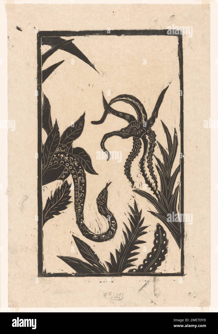 Snake between plants with flower, Janus de Winter, 1892 - 1951 print ...