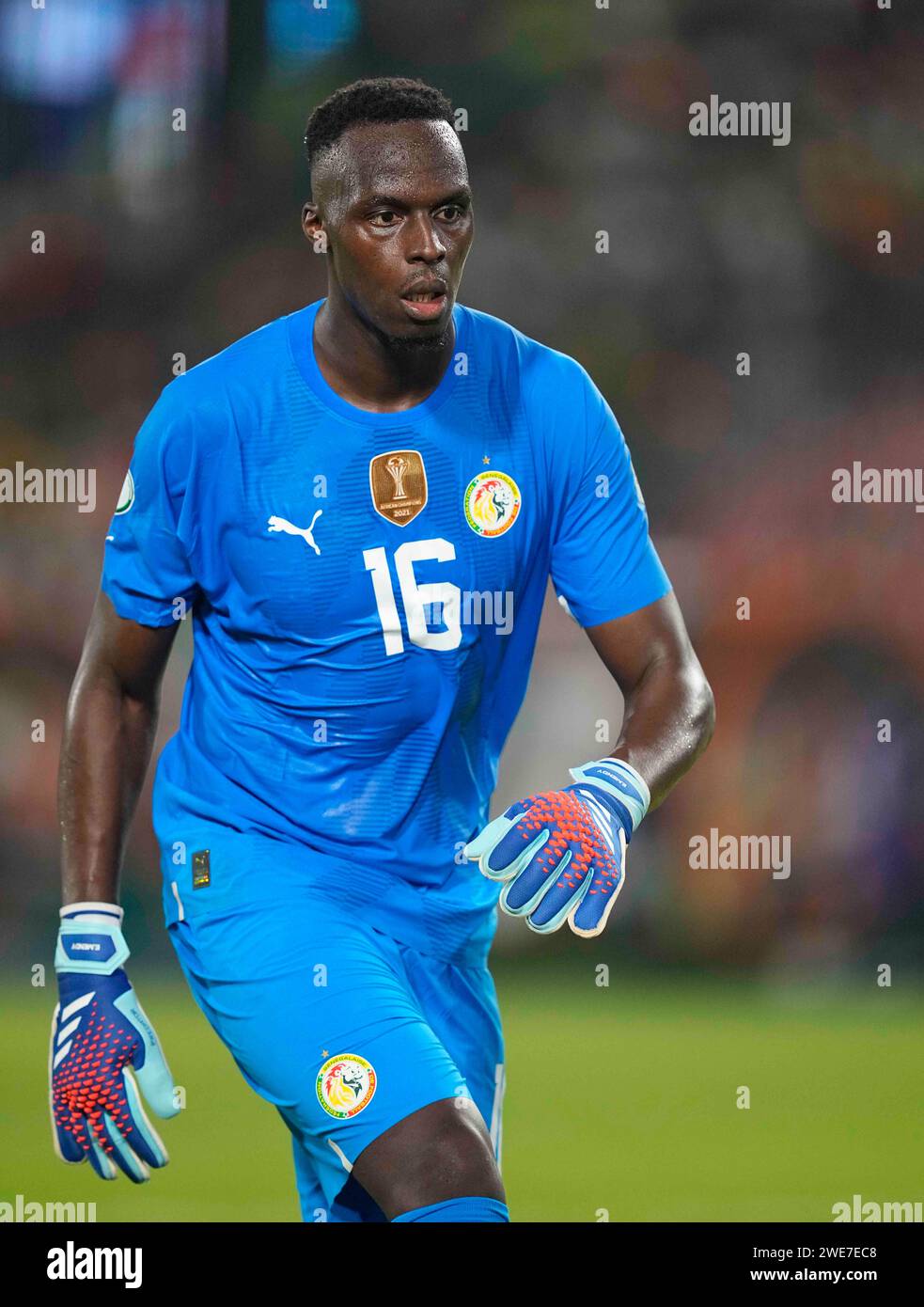 January 23 2024: Edouard Mendy (Senegal) // during a African Cup of ...