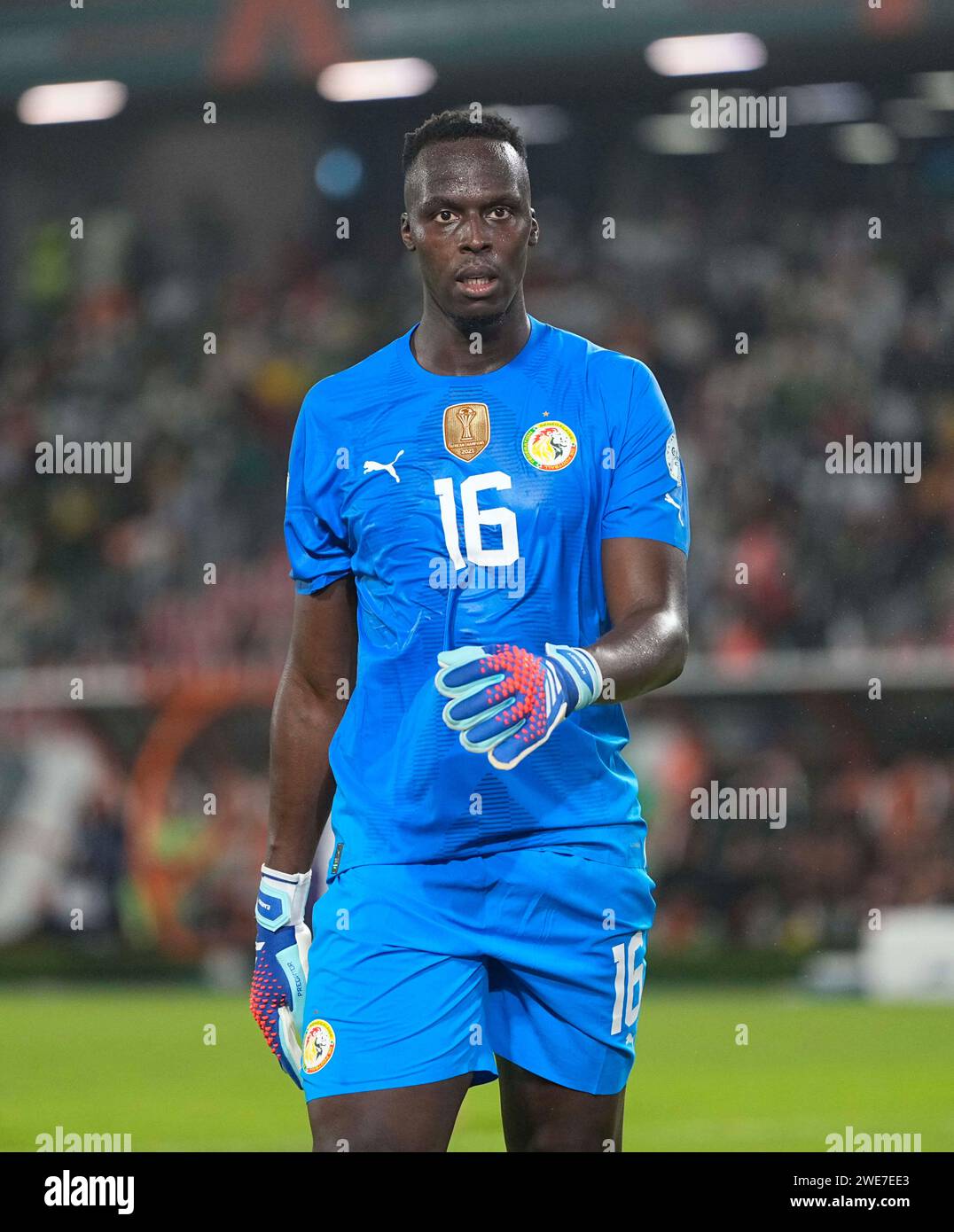 Stade charles konan banny hi-res stock photography and images - Alamy