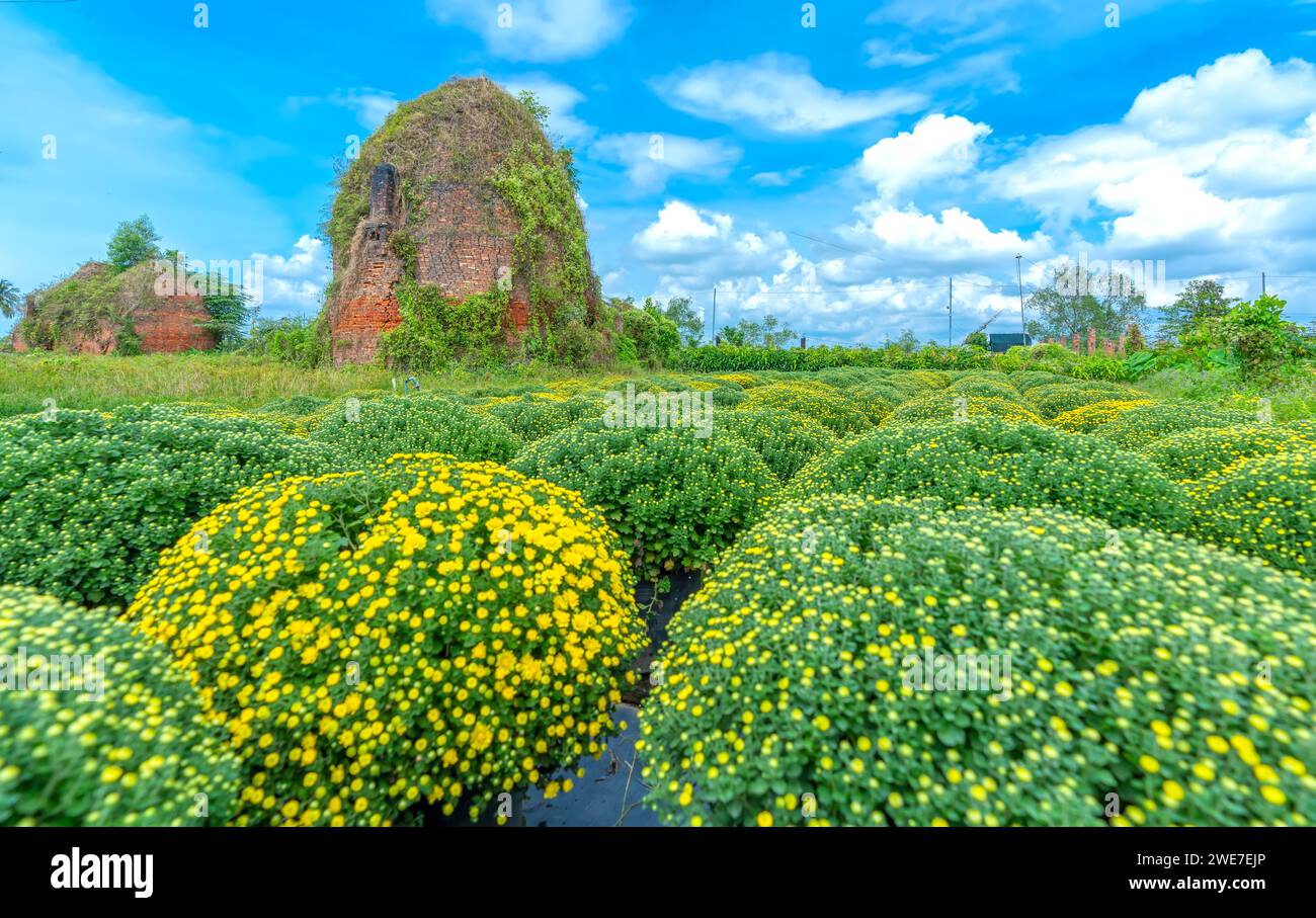 Abandoned brick kilns in the chrysanthemum garden in early spring in ...