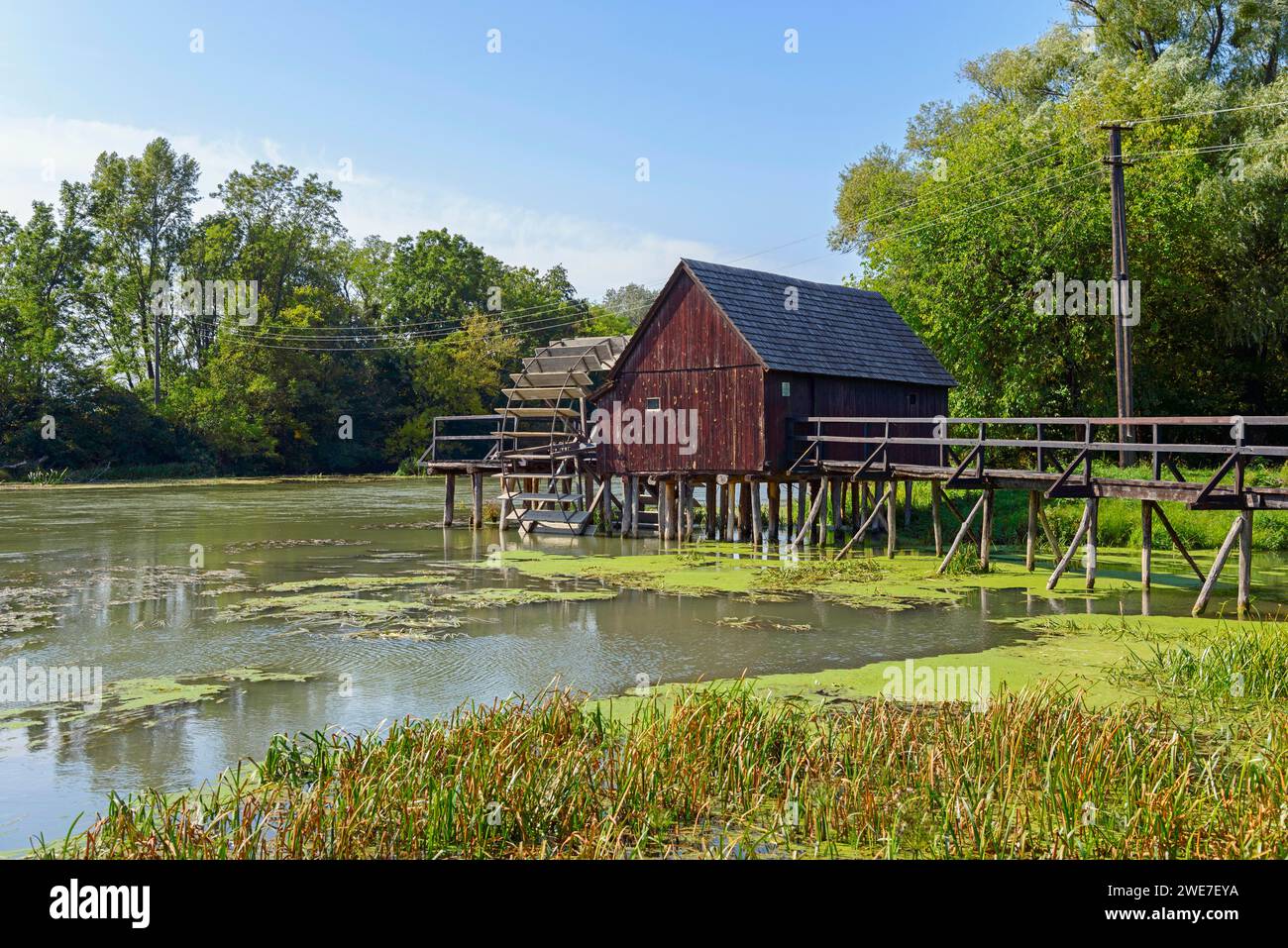 Wooden house on stilts on the banks of the Little Danube and reeds in ...