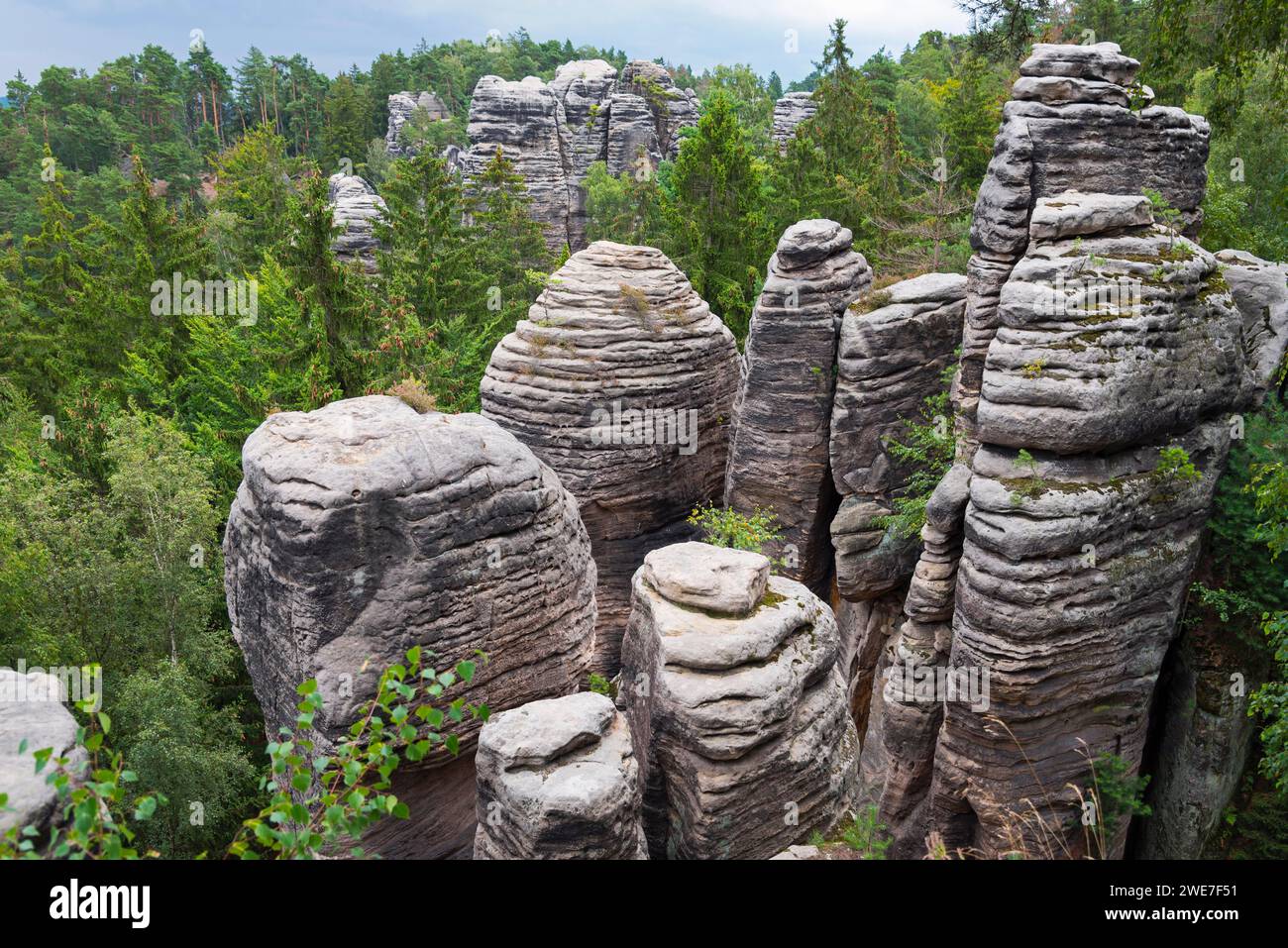 Layered sandstone rocks surrounded by forest, a view of the treetops ...