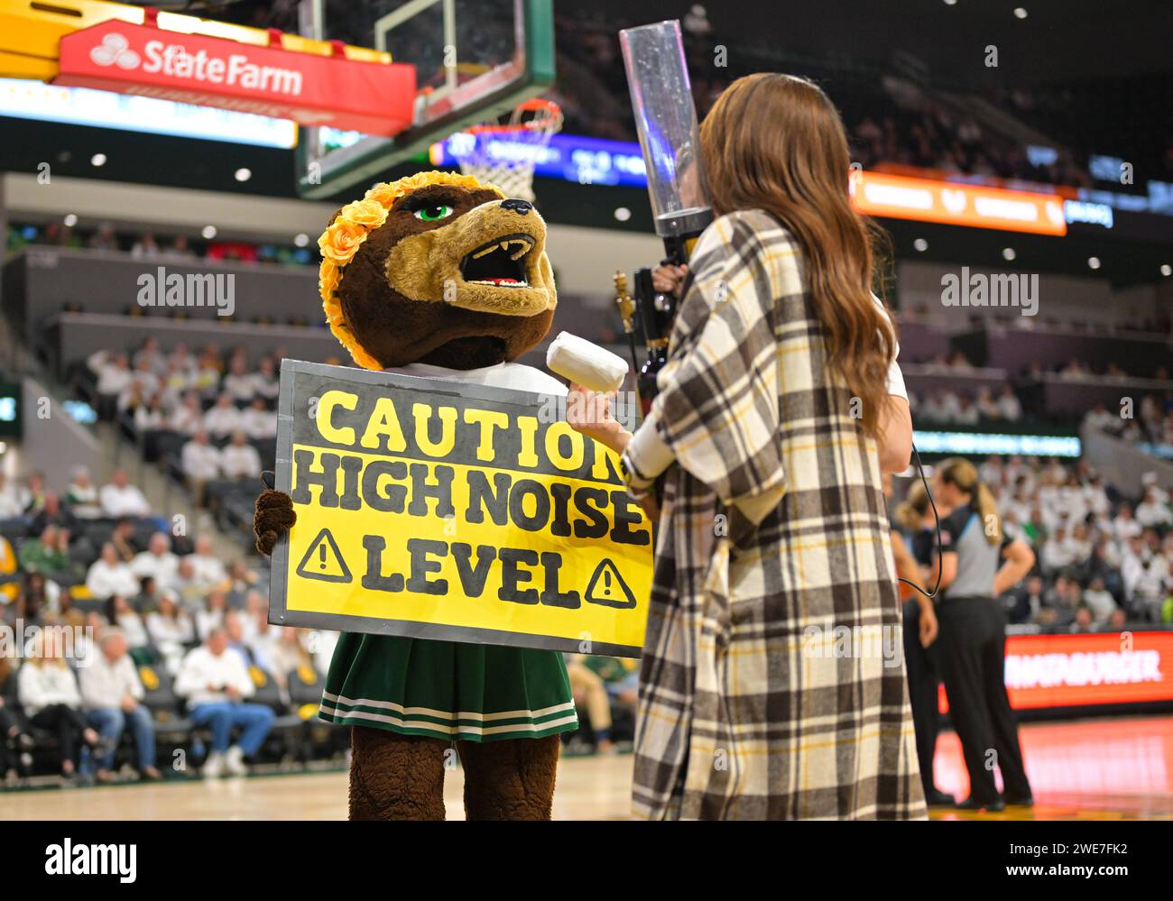 Waco, Texas, USA. 22nd Jan, 2024. Baylor Lady Bears mascot during the ...