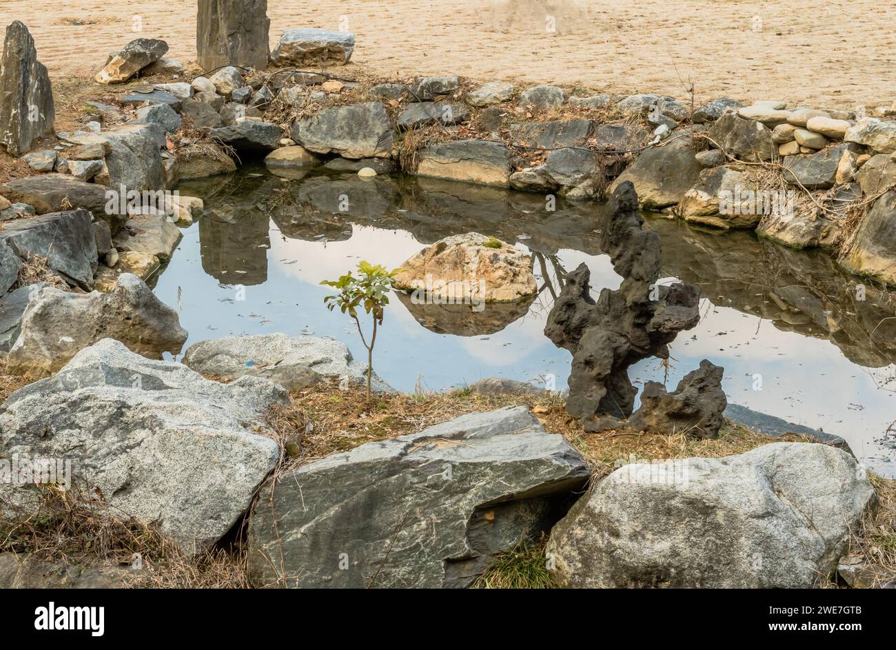 Piece of basalt shaped like tree next to small man made pond surrounded ...